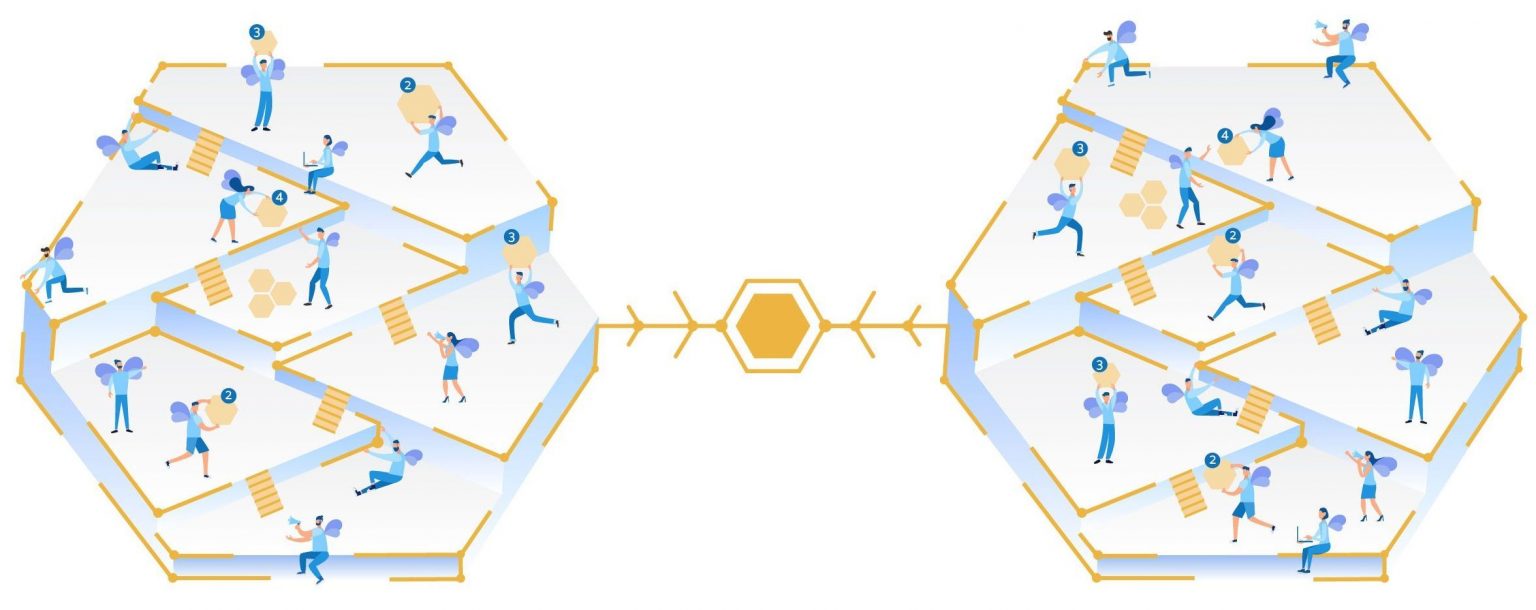 What you can do with your digital hive? - SweetHive